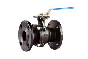 A216 WCB Carbon Steel: Valves, Flanges, Pressure Equipment - LangHe ...