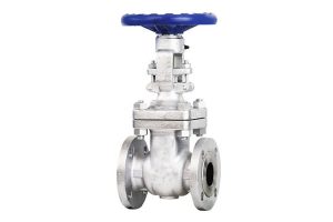 A217 WC6 vs WC9 - High Pressure & Temperature Solutions - LangHe ...